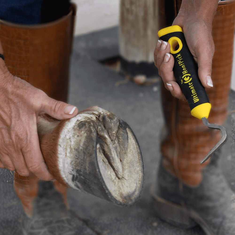 The Ultimate Hoof Pick | Julie Goodnight Shop