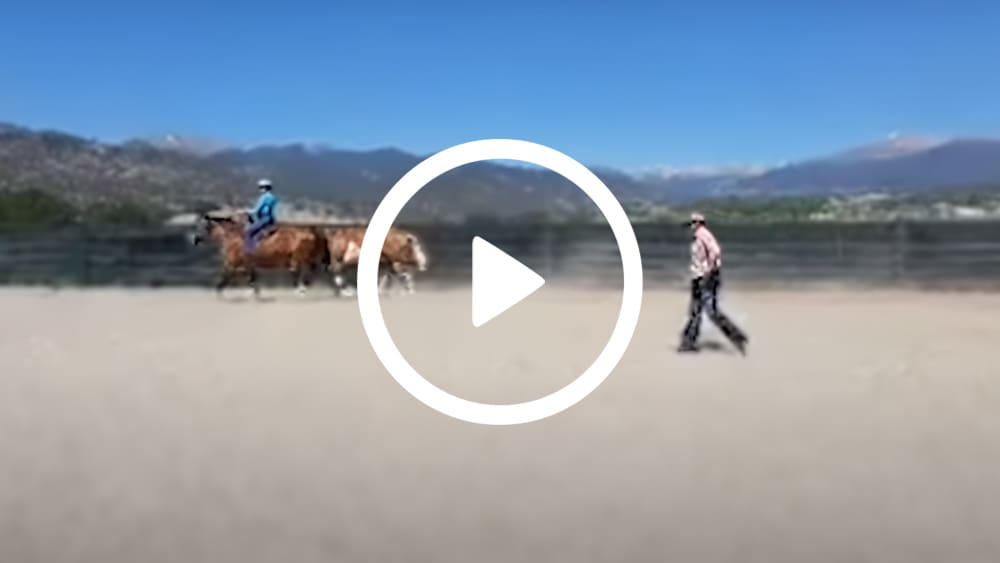 How to Pony a Horse | Julie Goodnight Shop